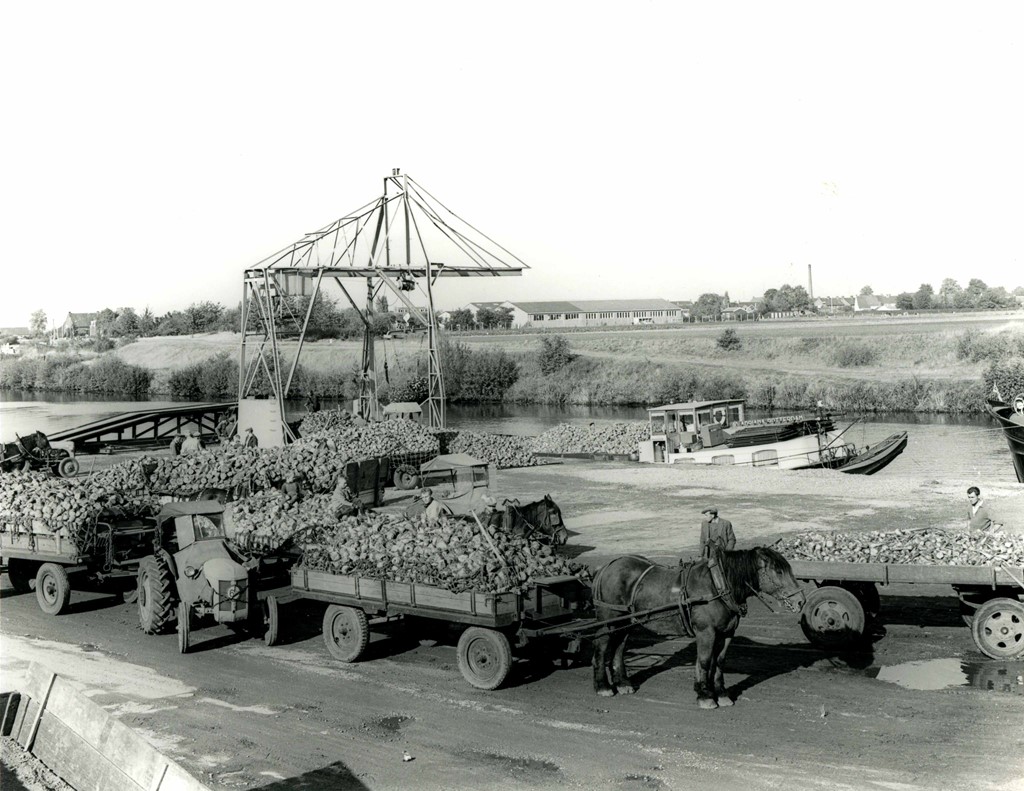 Help mee met de beschrijving van de fotocollectie van de LLTB