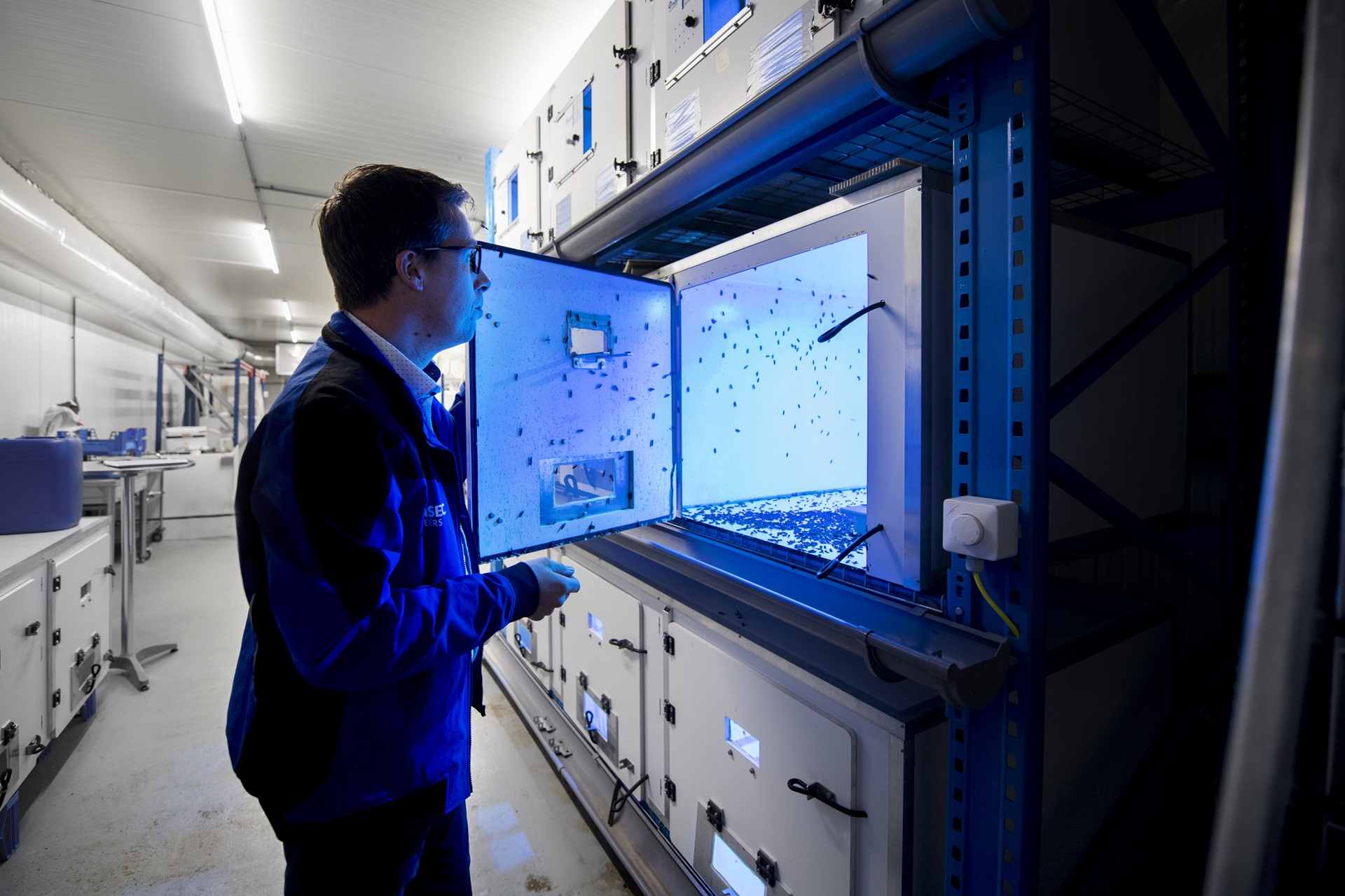 Reportage Insect Engineers: ‘Insecten kunnen bijdragen aan oplossen ...