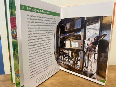 Het eerlijke verhaal in de klas